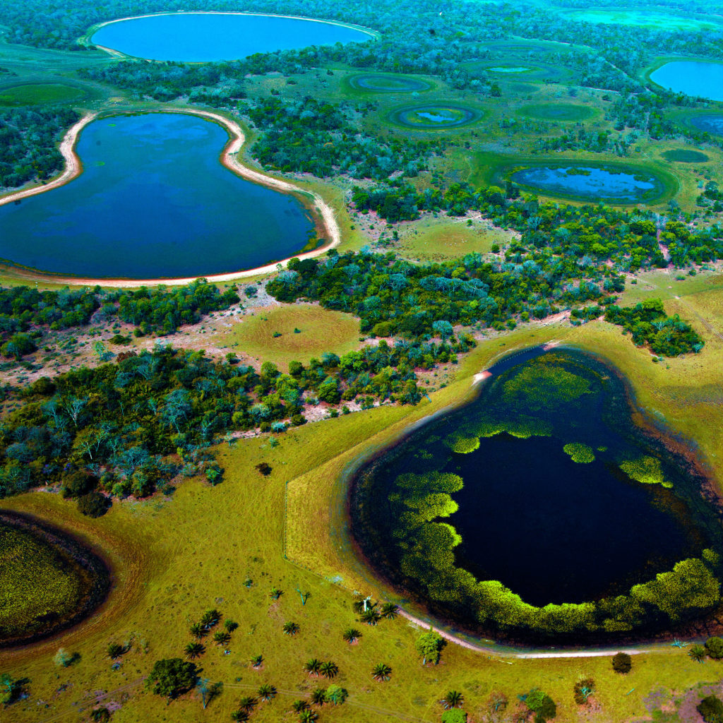 Quer saber quando ir ao Pantanal? - Blumar Turismo