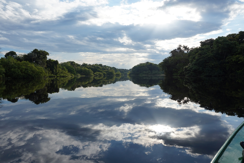 Cruzeiro no Amazonas - Descubra a Beleza Selvagem da Amazônia com a ...